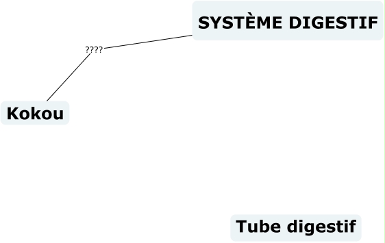 Trame conceptuelle système digestif